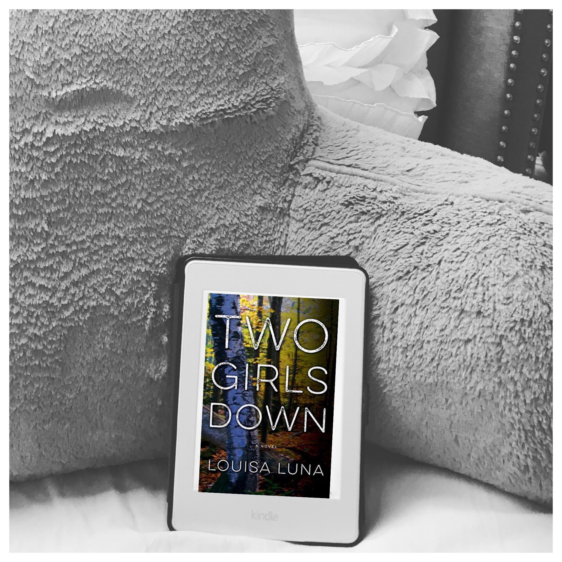 Book Review: Two Girls Down by Louisa Luna – Saturday Nite Reader