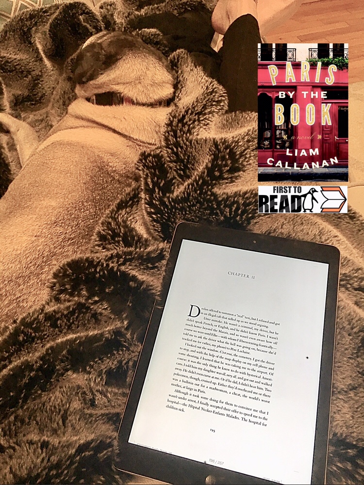 Book Review: Paris by the Book by Liam Callanan – Saturday Nite Reader